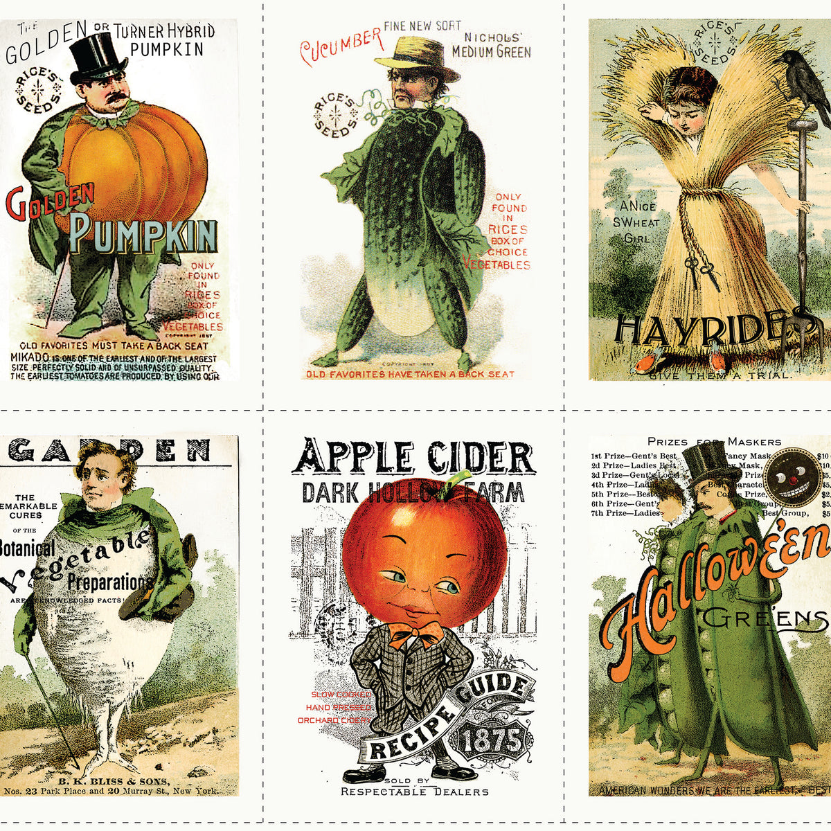 Pumpkin Patch Quilting Fabric Seedy Characters PANEL – Mockingbird Quilts